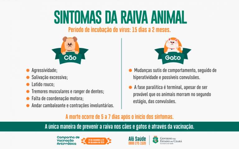 Laboratório é referência em exames para diagnóstico da raiva ...