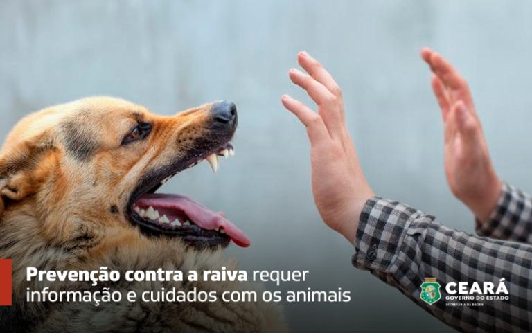 Raiva: saiba mais sobre a doença, quais os sintomas e como prevenir ...
