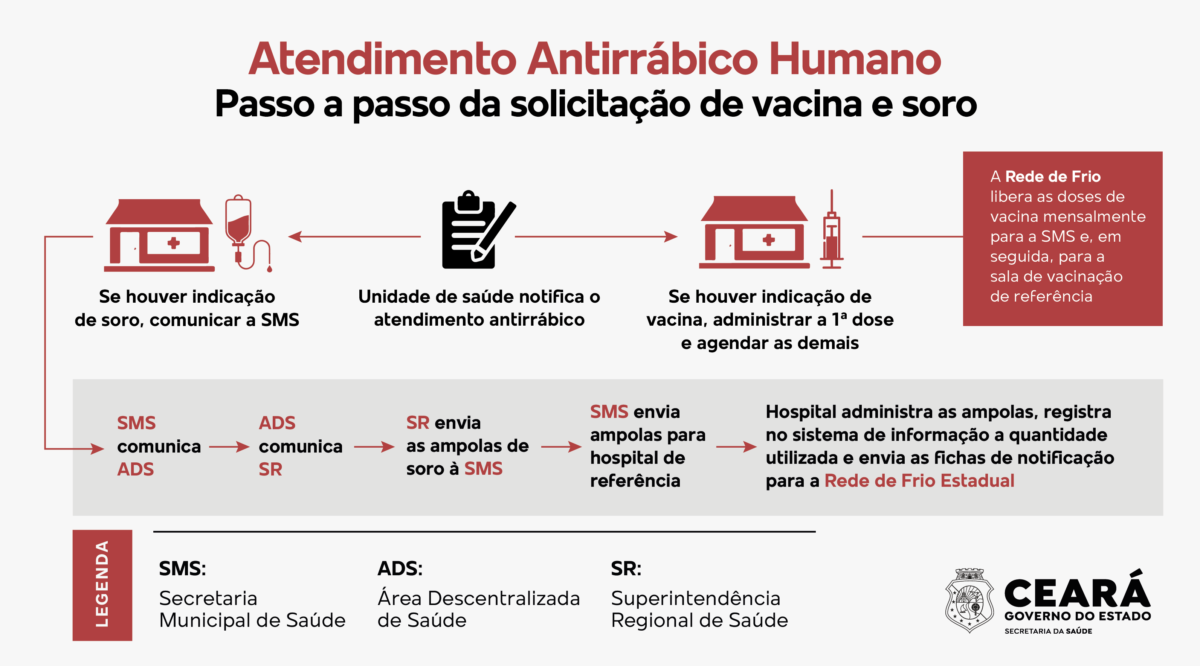 Saiba como agir em caso de agressões de animais; disponível nos postos ...