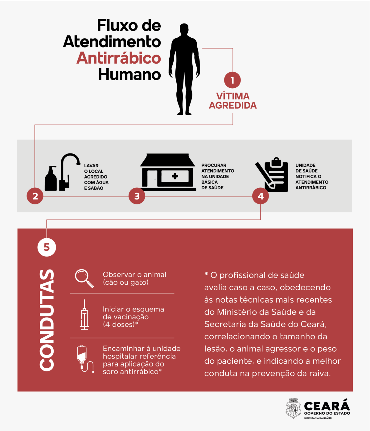 Saiba como agir em caso de agressões de animais; disponível nos postos ...