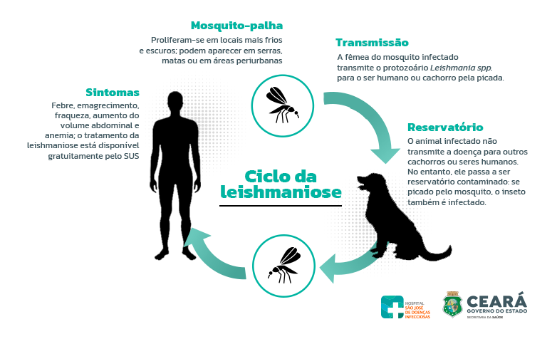 HSJ orienta a população sobre da leishmaniose