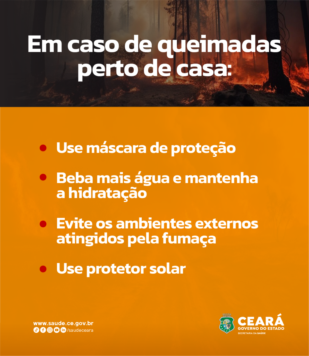 Queimadas podem trazer problemas respiratórios; entenda como se prevenir